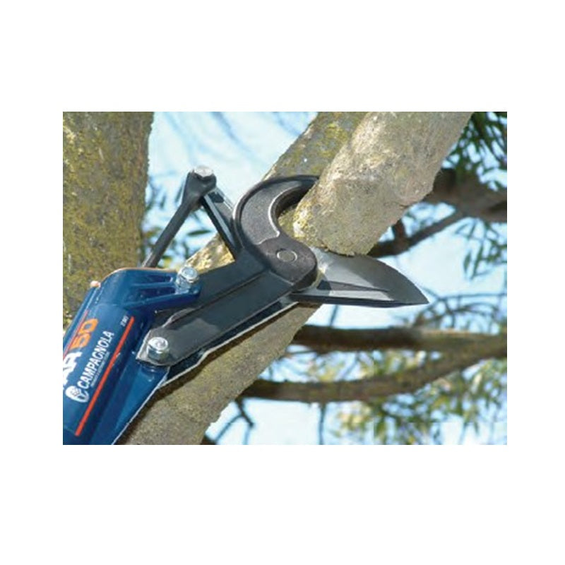 Star 50 Pruner- 6' Pole — American Arborist Supplies
